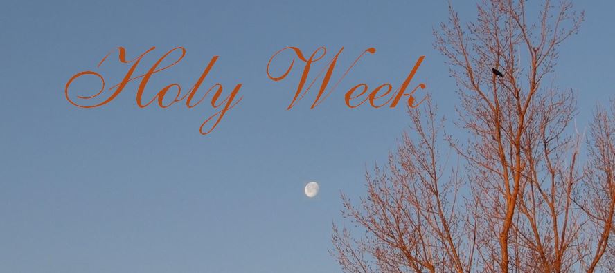 Bishop’s Pastoral Letter: Holy Week in Times of Covid-19 | Diocese of ...